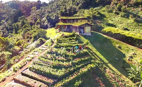 Volunteer On A Self-Sustainable Eco Farm (Short Term)